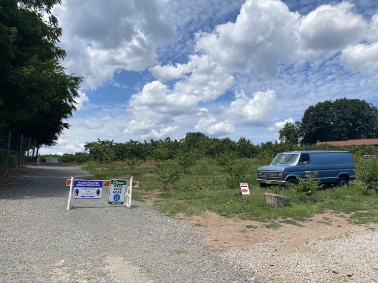 【US・NJ州】Demarest Farmsのアクセス・見どころは？ | カモンベイビーアメリカ